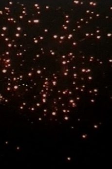 ‎GAITOU (2010) directed by Hiromi Izui • Film + cast • Letterboxd