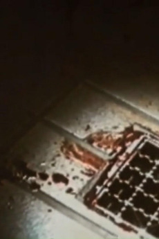 ‎Science (1998) directed by Marian Dora • Reviews, film + cast • Letterboxd