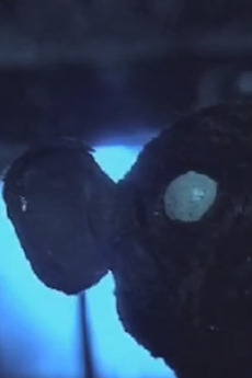 ‎Run Monkey Run (2000) directed by Leo Nicholson • Reviews, film + cast ...