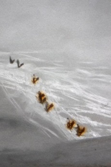 ‎Heimat (2021) directed by Giovanni Montagnana • Film + cast • Letterboxd