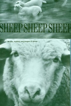 ‎Sheep, Sheep, Sheep (1969) directed by Michael D. Murphy • Reviews ...