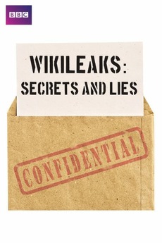 ‎Wikileaks: Secrets and Lies (2012) directed by Patrick Forbes ...