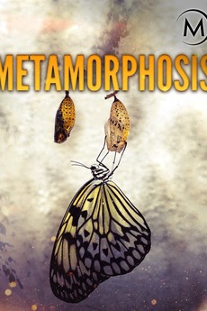 ‎Metamorphosis (2021) directed by Sacha Bollet • Film + cast • Letterboxd