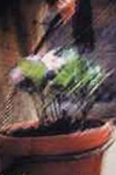 ‎La maceta (2002) directed by Javier 'Fox' Patrón • Film + cast ...