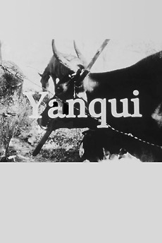 ‎Yanqui WALKER and the OPTICAL REVOLUTION (2009) directed by Kathryn ...