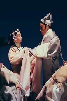 ‎The Peony Pavilion (2017) directed by Jie Weng • Reviews, film + cast ...