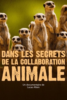 ‎Dans les secrets de la collaboration animale (2021) directed by Lucas ...
