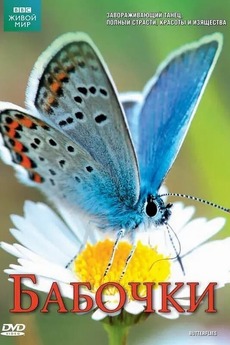 ‎Butterflies: A Very British Obsession (2010) • Film + cast • Letterboxd