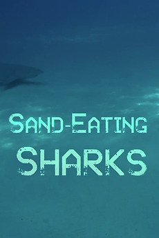 ‎The Sand Eating Shark (2021) • Film + cast • Letterboxd