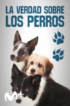 ‎Dog Tales (2020) directed by Peter Chinn • Reviews, film + cast ...