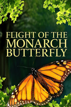 ‎Flight of the Monarch Butterfly (2012) directed by Benjamin Eicher ...