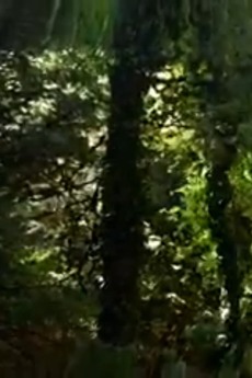 ‎WHAT IS A MAN WITHOUT A SHADOW (2020) directed by Makis Kyriakopoulos ...