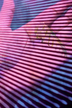 ‎Incantation (2021) directed by Kalpana Subramanian • Reviews, film ...