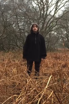 ‎Having Lots of Fern (2018) directed by Sophie Popper • Reviews, film ...