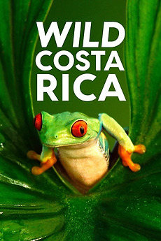 ‎Wild Costa Rica (2000) • Reviews, film + cast • Letterboxd