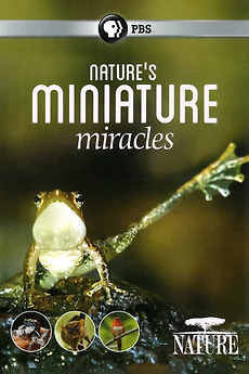 ‎Nature's Miniature Miracles (2017) • Film + cast • Letterboxd