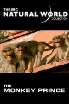 ‎The Monkey Prince (2003) • Film + cast • Letterboxd