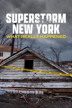 ‎Superstorm New York: What Really Happened (2012) directed by Matt ...