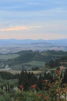 ‎Migration (2016) directed by Yang Bo • Film + cast • Letterboxd