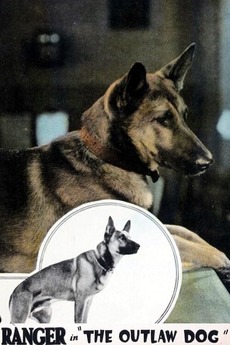 ‎The Outlaw Dog (1927) directed by J.P. McGowan • Reviews, film + cast ...