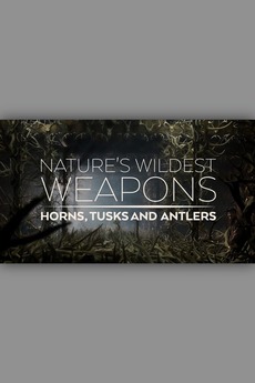 ‎Nature's Wildest Weapons (2017) directed by Peter Fison • Reviews ...