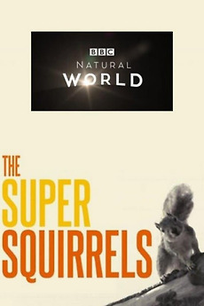 ‎The Super Squirrels (2018) directed by Rowan Crawford, Tom Jarvis • Reviews, film + cast ...