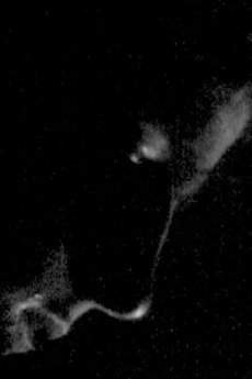 ‎Poor Edward (2009) directed by Dean Kavanagh • Film + cast • Letterboxd