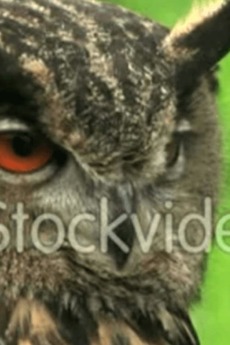 ‎Simulacra (2010) directed by Sturtevant • Reviews, film + cast ...