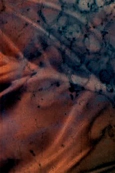 ‎Skull and Blackberries (2007) directed by Eric Ostrowski • Film + cast ...