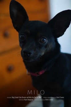 ‎Milo (2022) directed by Brett Cramer • Reviews, film + cast • Letterboxd