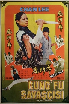 ‎Kung Fu Conspiracy (1974) directed by Joseph Kong Hung • Film + cast ...