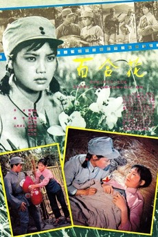 ‎Bai he hua (1981) directed by Qian Xuege • Film + cast • Letterboxd