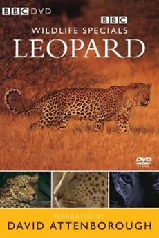 ‎Leopard: The Agent of Darkness (1997) directed by Owen Newman ...