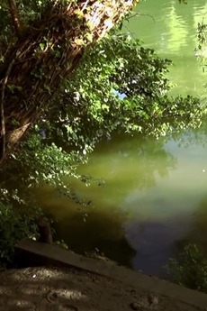 ‎The moon is floating, seasons still last (2021) directed by Camille ...