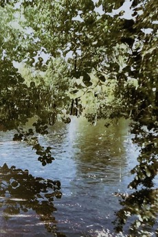 ‎Tree and matter (2020) directed by Camille Simon Baudry • Film + cast ...