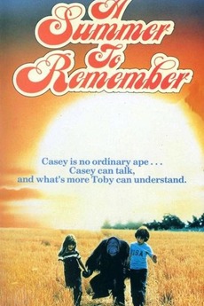 ‎A Summer to Remember (1985) directed by Robert Michael Lewis • Reviews ...