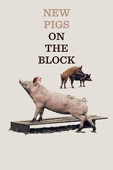 ‎New Pigs on the Block (2022) directed by Jimmy Kets • Reviews, film ...