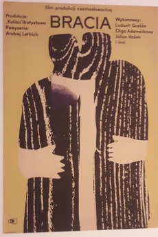 ‎Brothers (1962) directed by Andrej Lettrich • Reviews, film + cast ...