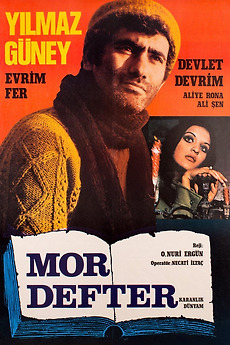 ‎Mor Defter (1964) directed by Nuri Ergün • Film + cast • Letterboxd
