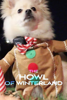 ‎The Howl of Winterland (2022) directed by Damon Packard • Reviews ...