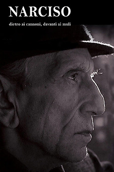 ‎Narciso - Dietro ai cannoni, davanti ai muli (2008) directed by ...