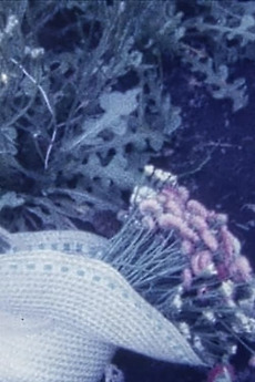 ‎HINA (1987) directed by Isao Yamada • Film + cast • Letterboxd