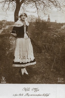 ‎Das verwunschene Schloß (1919) directed by Otto Rippert • Film + cast ...