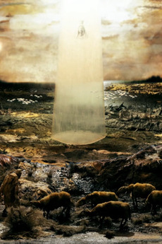 ‎And They Saw a Great Sign In Heaven (2020) directed by Barbara Rupik ...