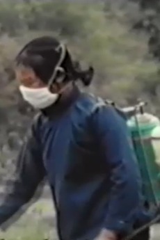 ‎Elder Sister (2002) directed by Pan Dawei • Film + cast • Letterboxd