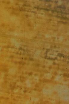 ‎Bamboo (2007) directed by Eric Ostrowski • Film + cast • Letterboxd