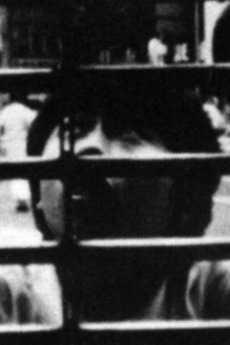 ‎PATHOS SCATTERS IN ILLUSION (1982) directed by Sumi Fujio • Film ...