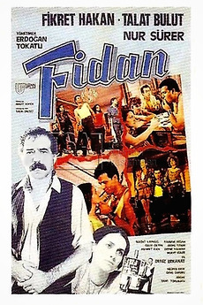 ‎Fidan (1984) directed by Erdoğan Tokatlı • Film + cast • Letterboxd