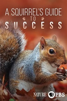‎A Squirrel's Guide to Success (2018) directed by Rowan Crawford, Tom ...