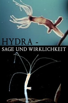 ‎Hydra - Legend and Reality (1962) directed by Siegfried Bergmann ...